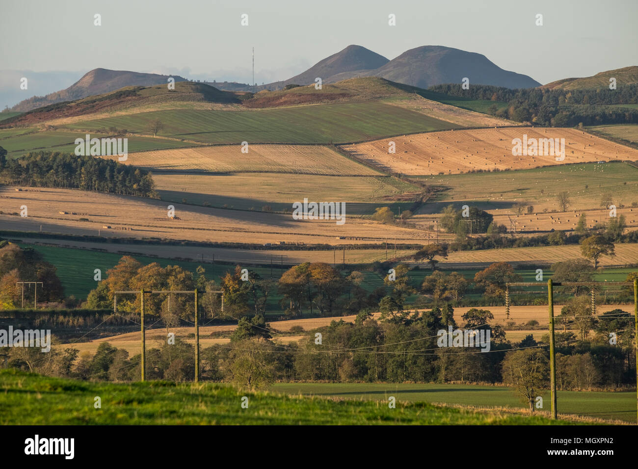 The Borders Countryside Stock Photo - Alamy