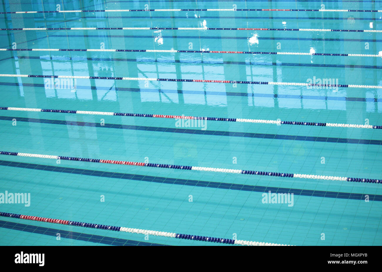 Lanes in a competition swimming pool Stock Photo - Alamy