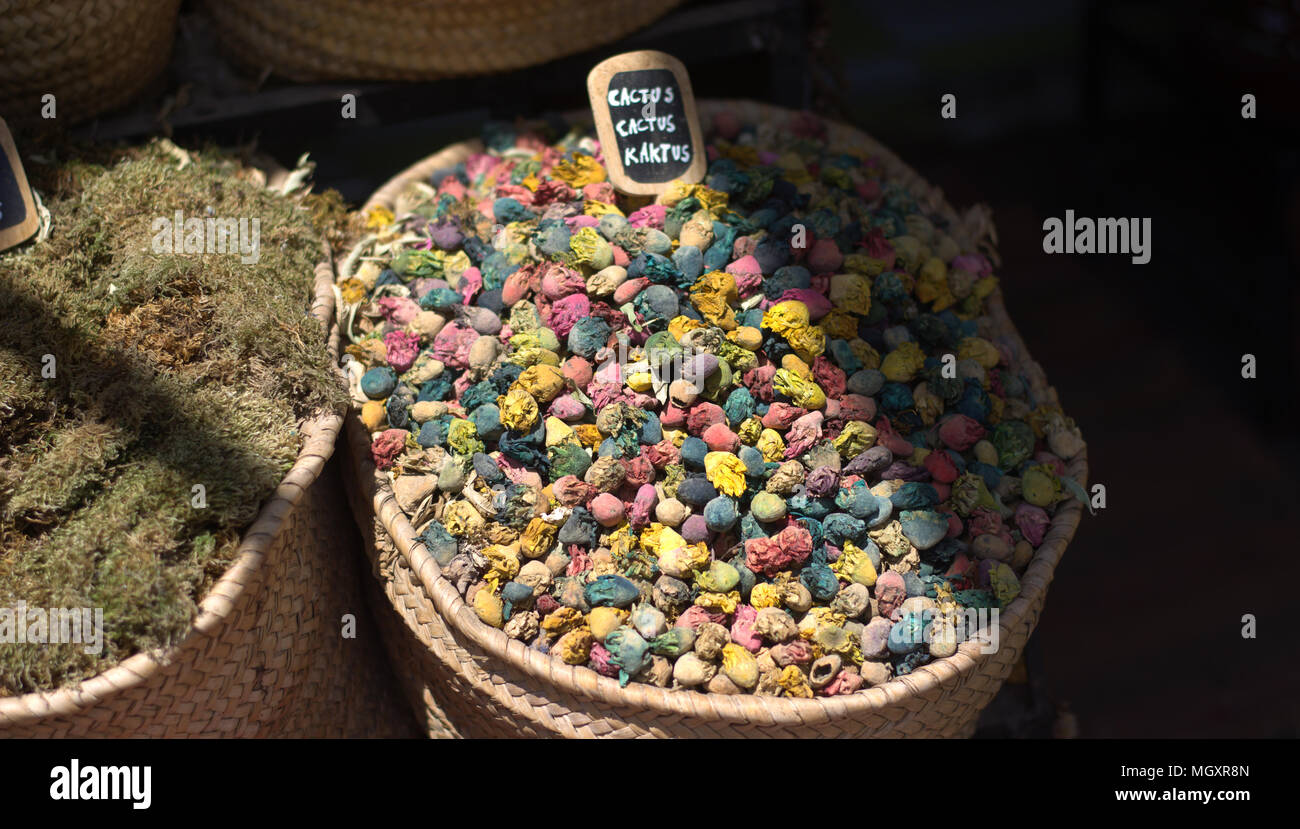 Saudi arabia cactus hi-res stock photography and images - Alamy