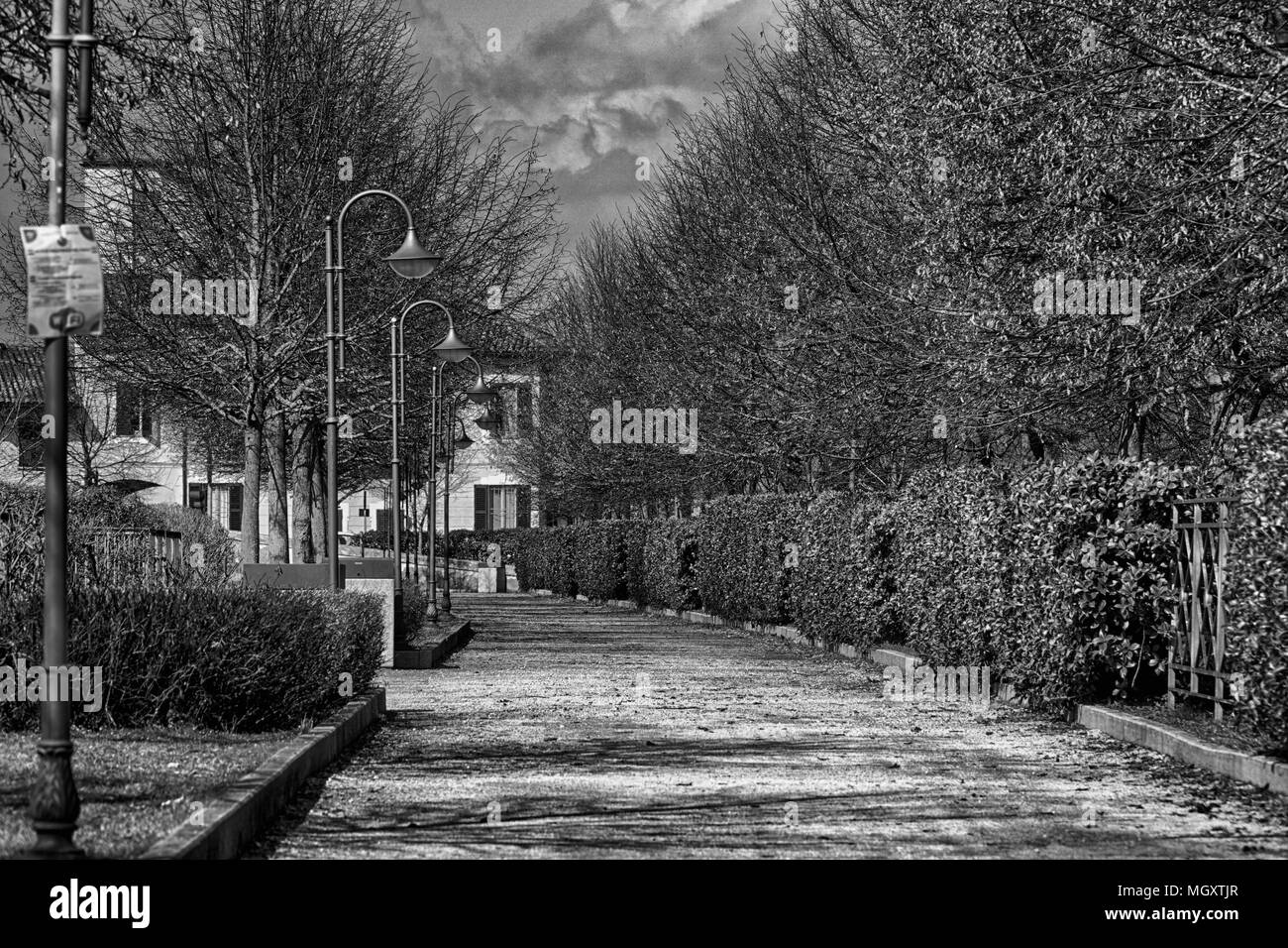 Monochrome Footpath in public park, tranquility scene, idyllic ...