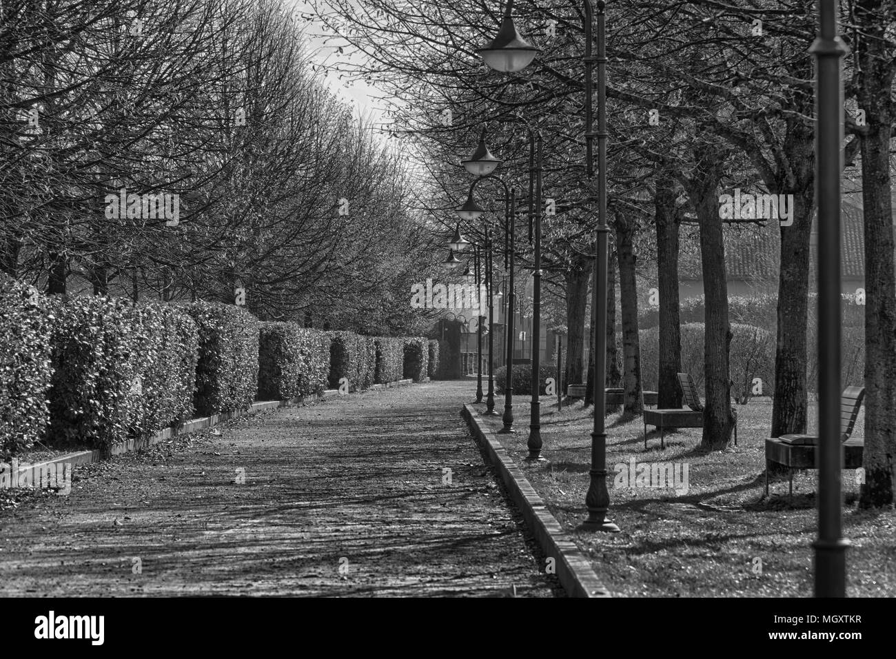 Footpath in public park, tranquility scene, idyllic background Stock ...