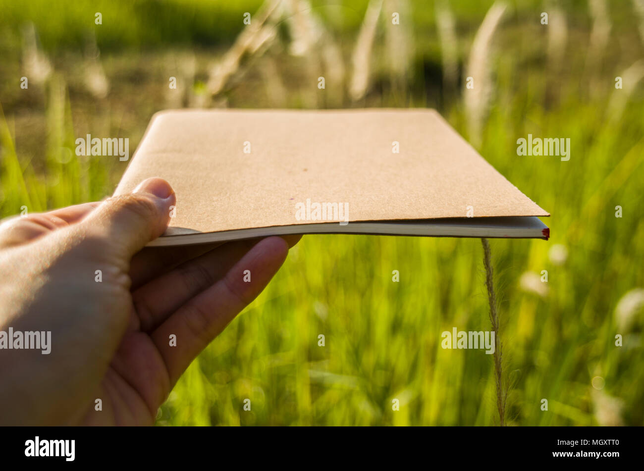 Hand holding the brown notebook with natural light in garden outdoor at ...