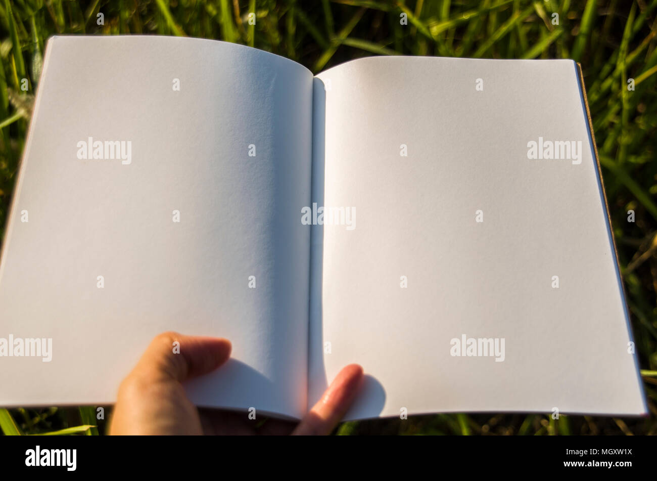 Hand holding the brown notebook with natural light in garden outdoor at ...