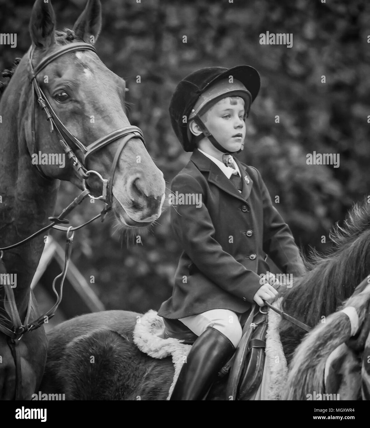 Child on pony at Hunt Meet Stock Photo - Alamy