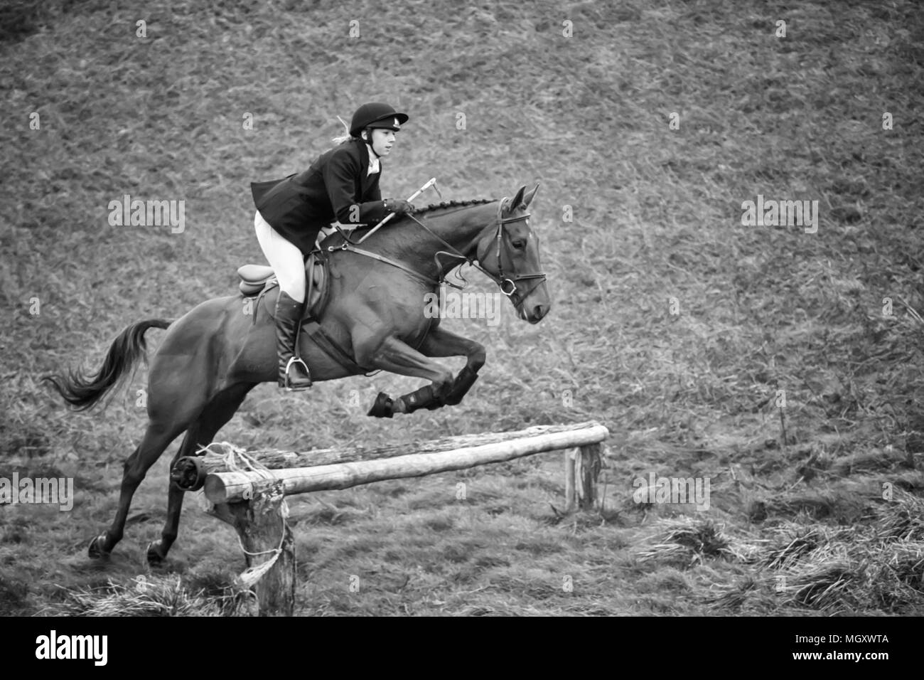 people riding horses Stock Photo - Alamy