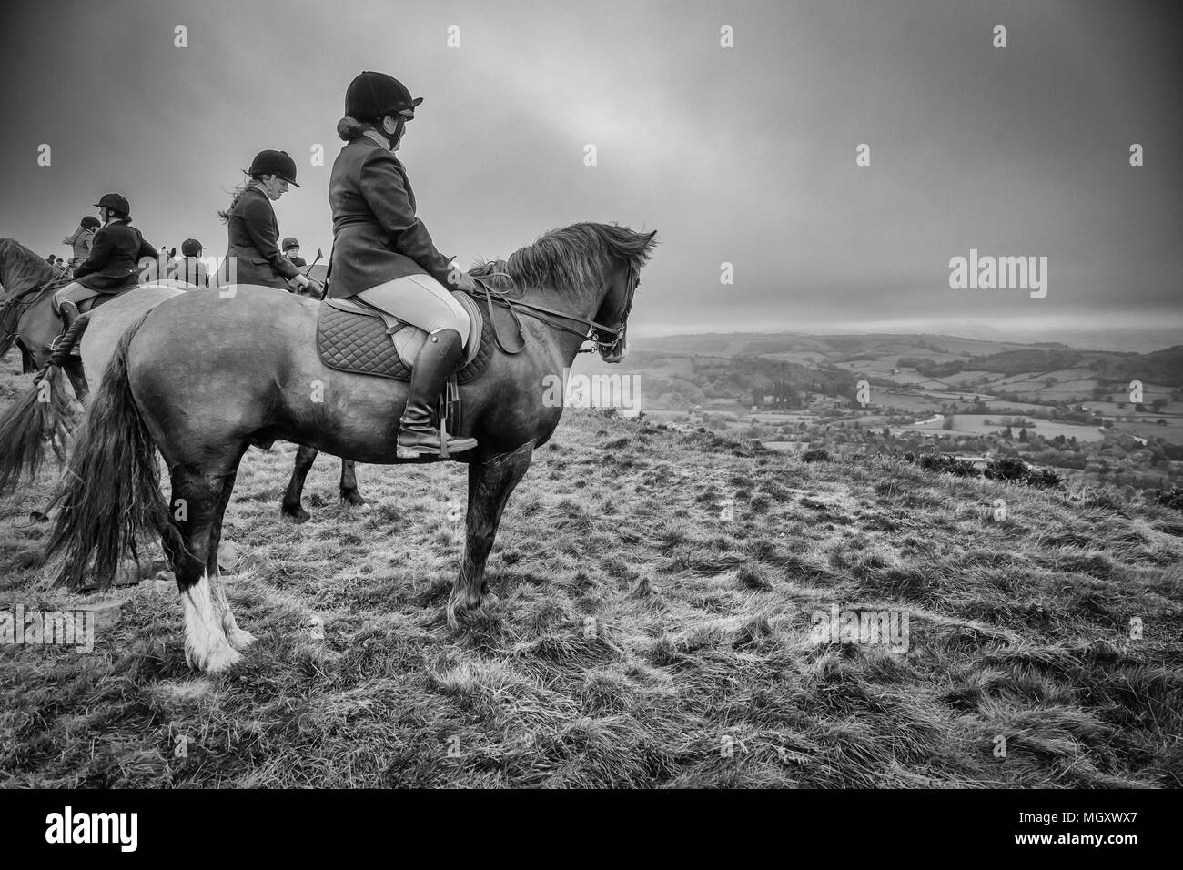 people riding horses Stock Photo - Alamy