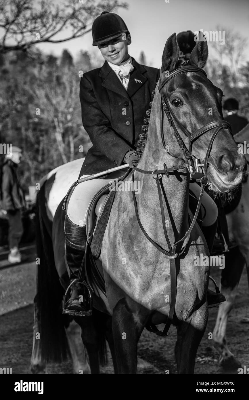 Hunting horse and hounds Black and White Stock Photos & Images - Alamy