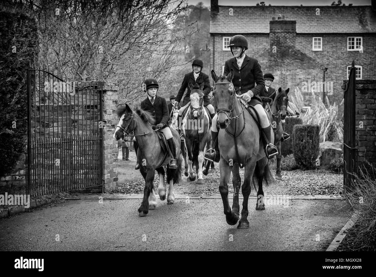 people riding horses Stock Photo - Alamy