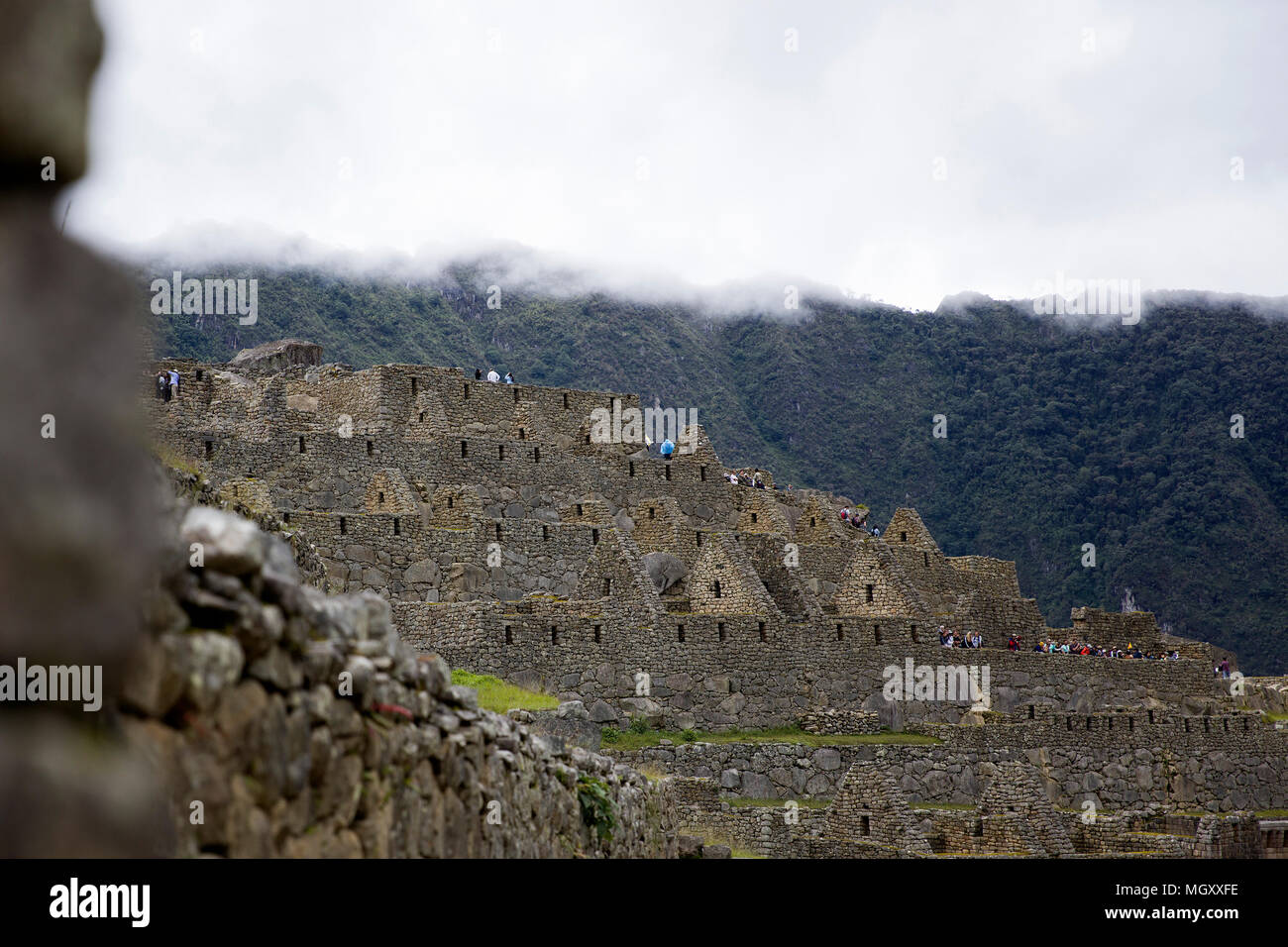 Detail of the Machu Picchu Inca citadel in Peru Stock Photo - Alamy
