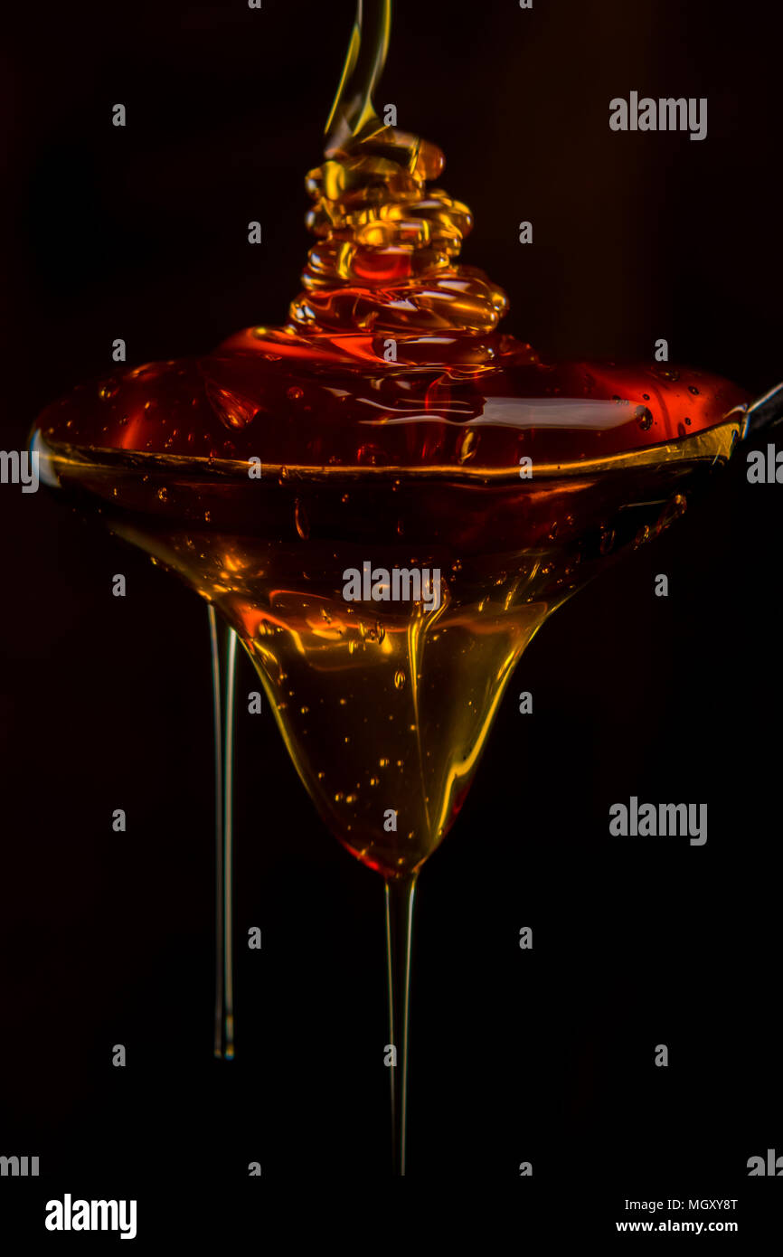Large Glob of Honey Falls from Spoon against dark background Stock ...