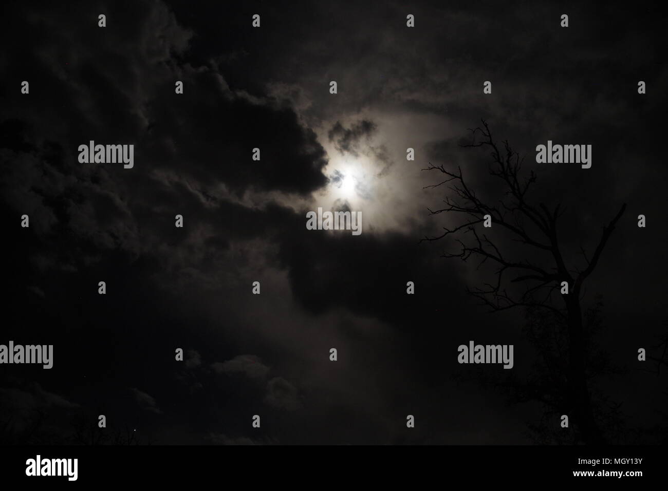 Partly Cloudy Night Sky