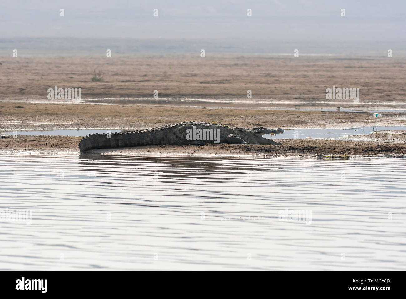 Magar High Resolution Stock Photography and Images - Alamy