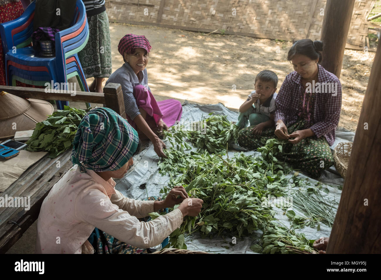 Burmese vegetables hi-res stock photography and images - Alamy