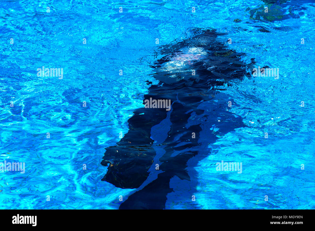Divers sink in the pool. The teacher teaches the pupil the rules and ...