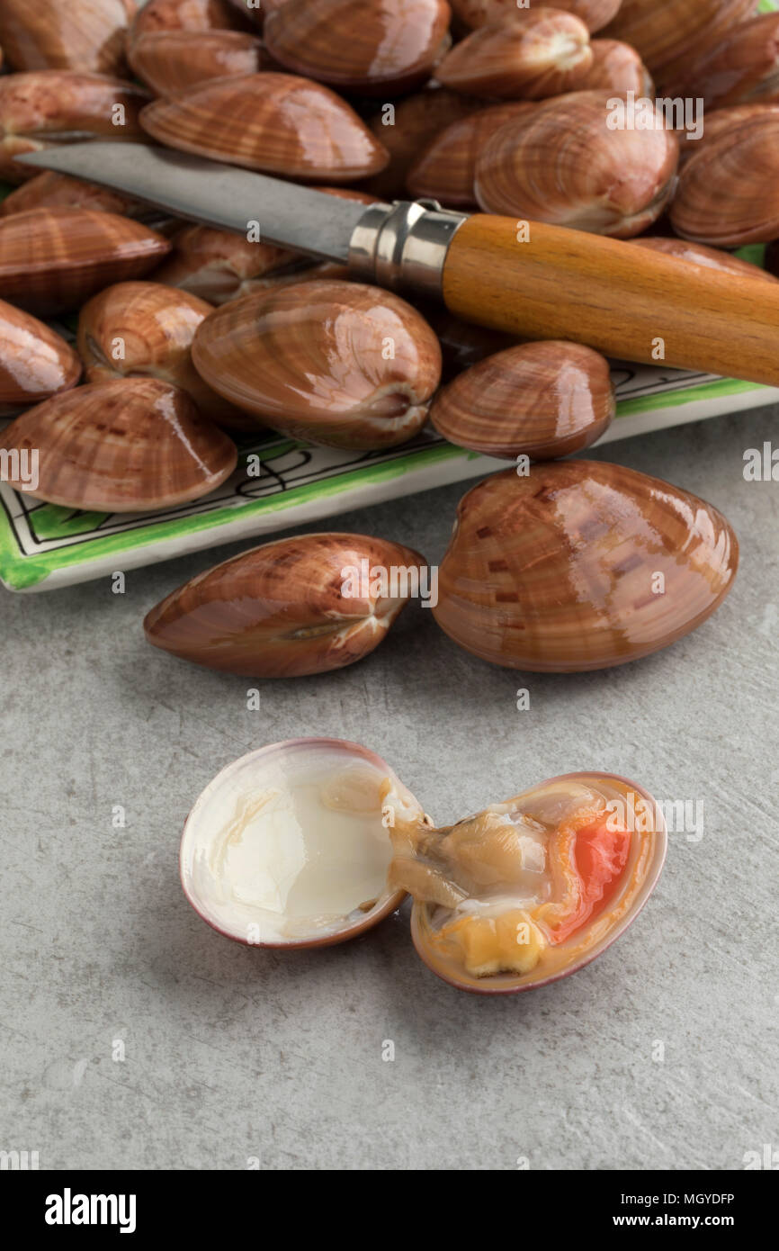 Open and closed clams hi-res stock photography and images - Alamy