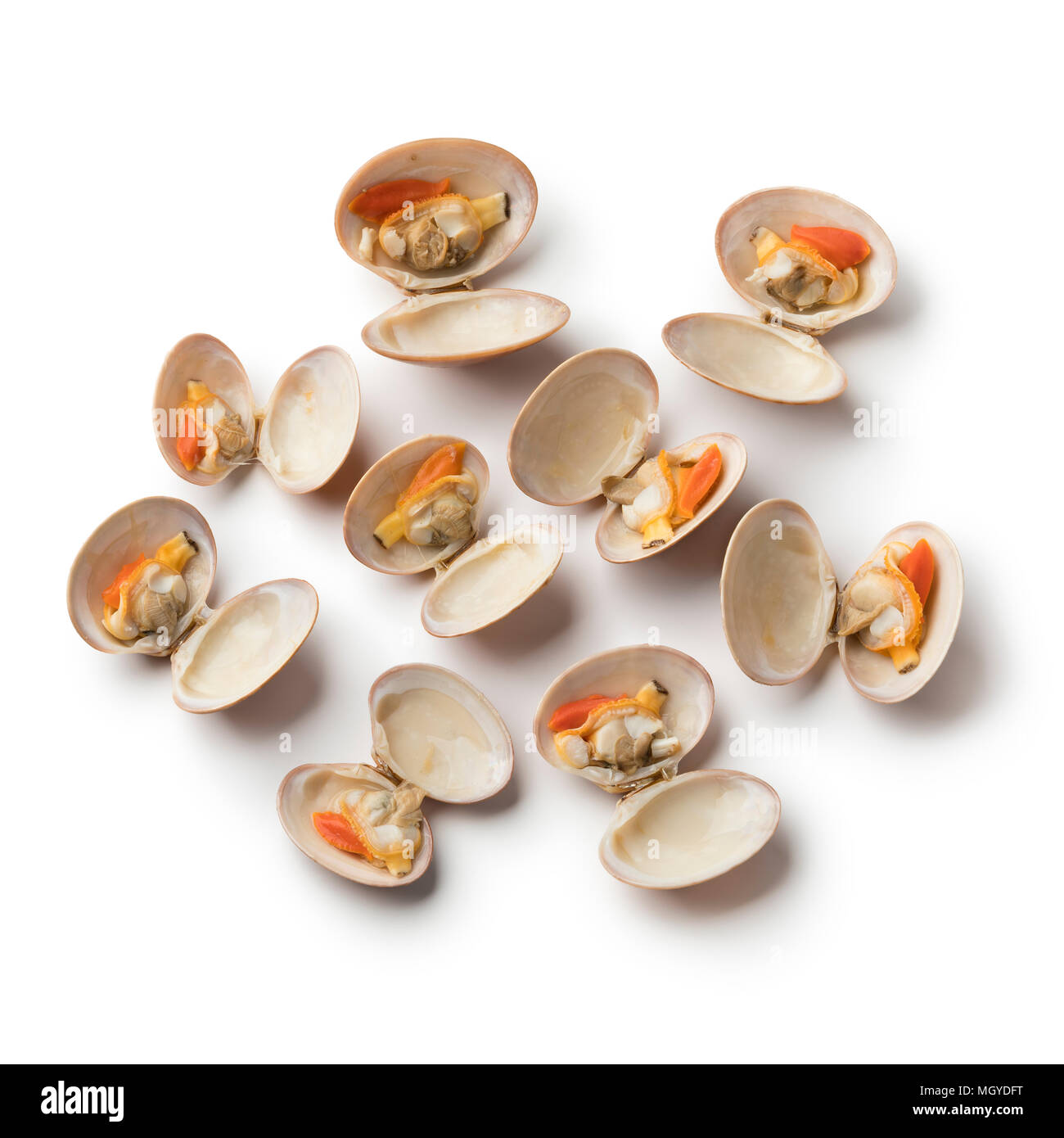 Open clam hi-res stock photography and images - Alamy