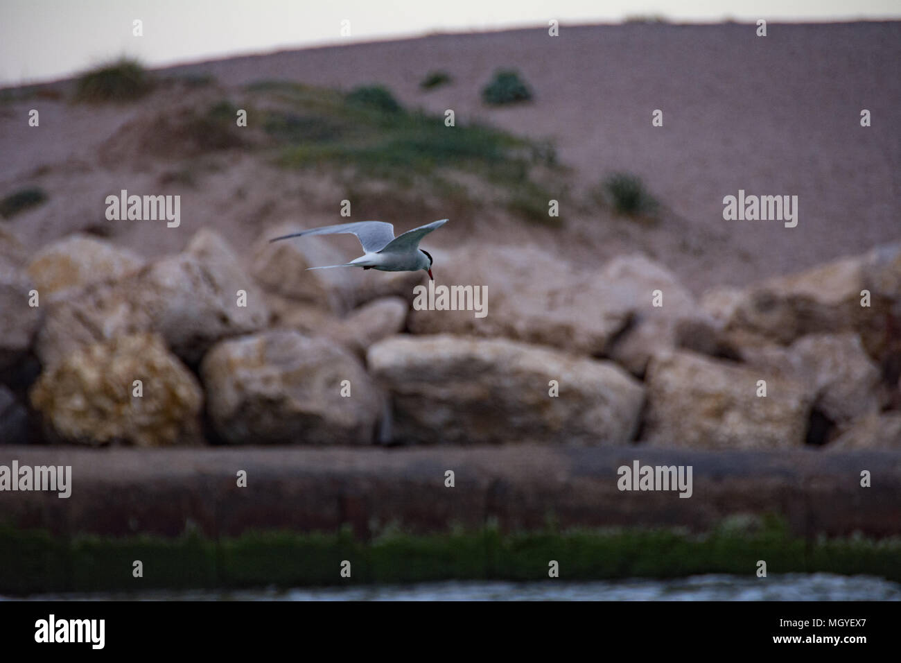 shapes and clouds. Mediterranean coast. Spring day after a storm Stock ...