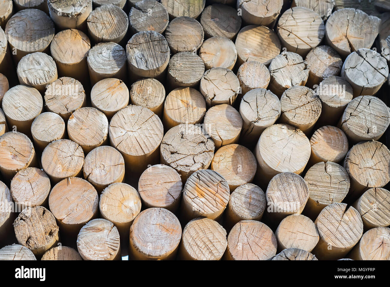 Cutting patterns wood hi-res stock photography and images - Alamy