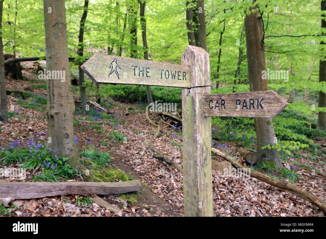 Chinthurst Hill, Bramley Surrey UK Stock Photo - Alamy