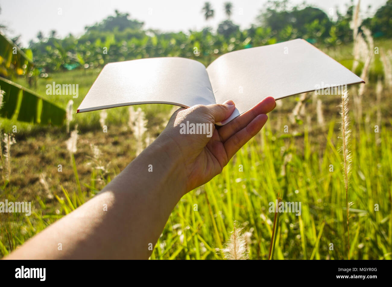Hand holding the brown notebook with natural light in garden outdoor at ...