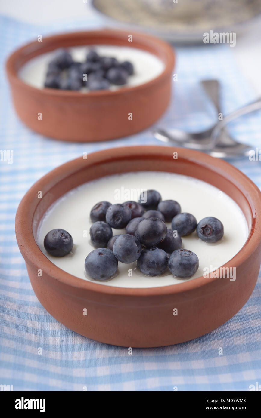 Homemade yogurt in a pot with blueberry Stock Photo - Alamy