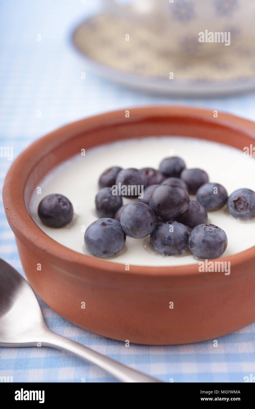 Blueberry in pot hi-res stock photography and images - Alamy