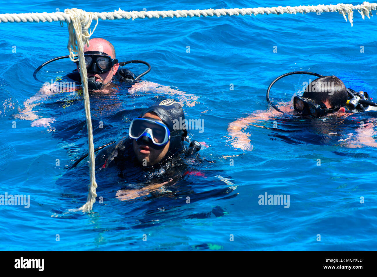 Divers on the clear and turquoise Red Sea on immersion in beautiful ...