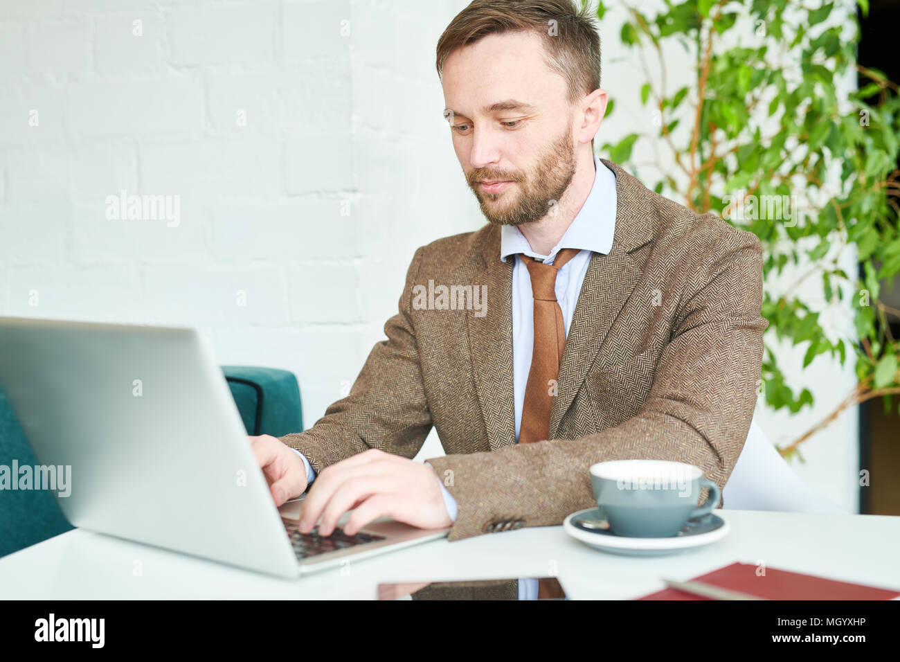 Successful Businessman Using Laptop Stock Photo - Alamy