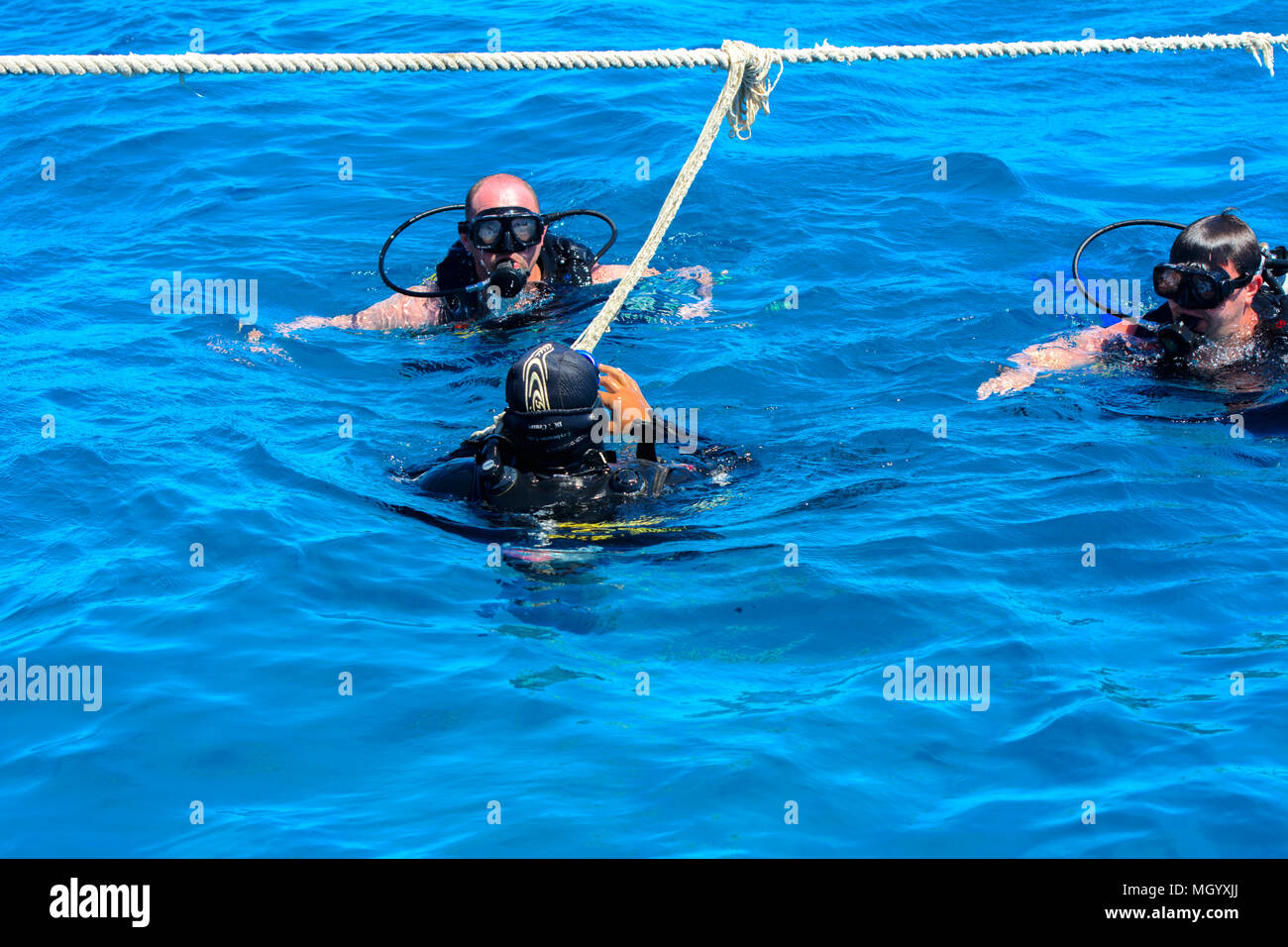 Divers on the clear and turquoise Red Sea on immersion in beautiful ...