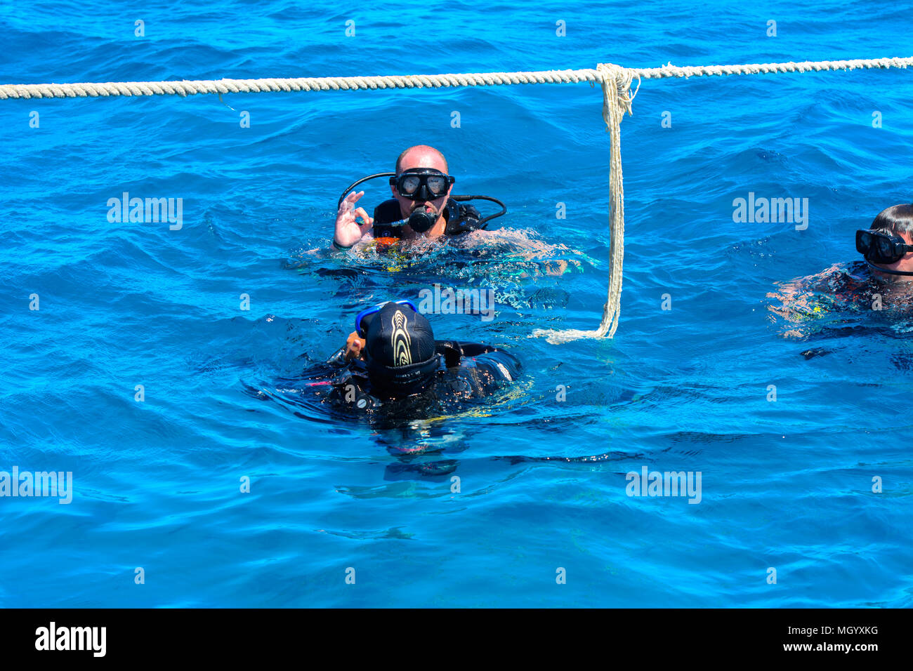 Divers on the clear and turquoise Red Sea on immersion in beautiful ...