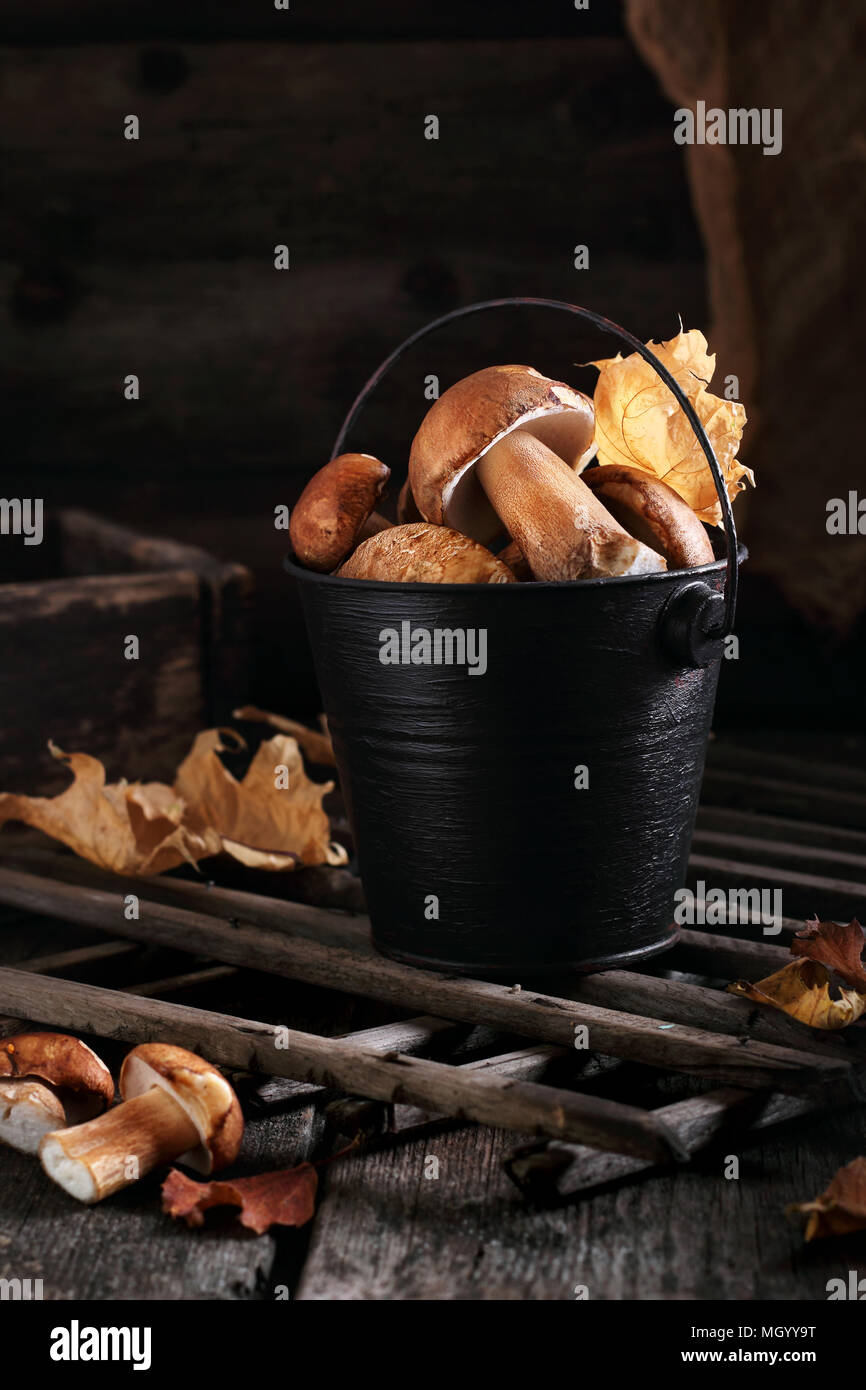 Bucket leaves hi-res stock photography and images - Alamy