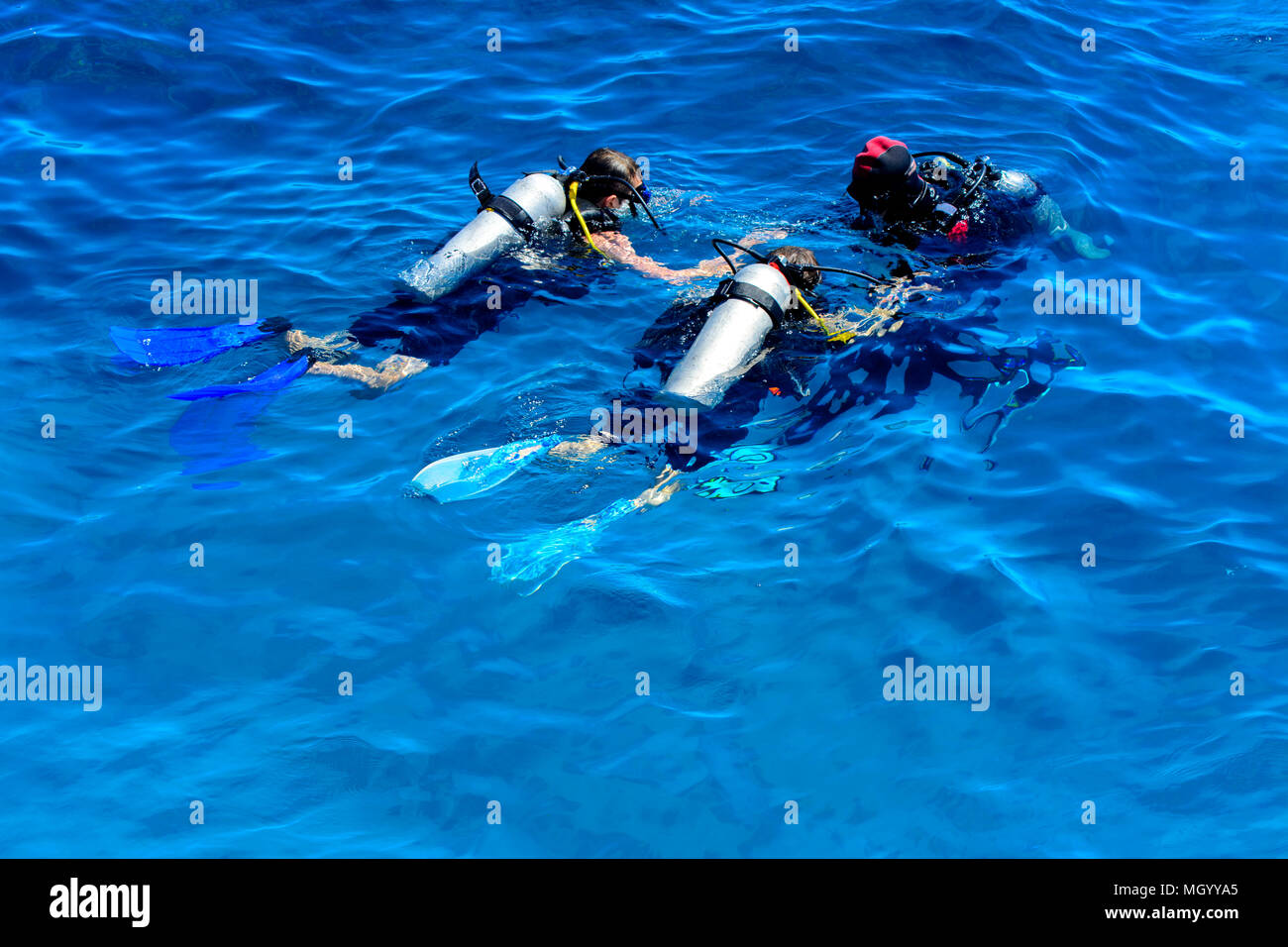 Divers on the clear and turquoise Red Sea on immersion in beautiful ...