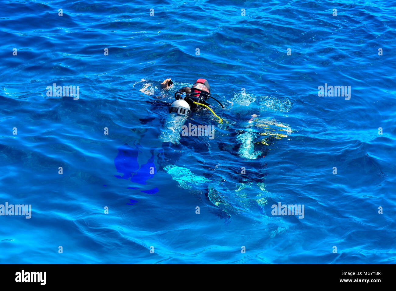 Divers on the clear and turquoise Red Sea on immersion in beautiful ...