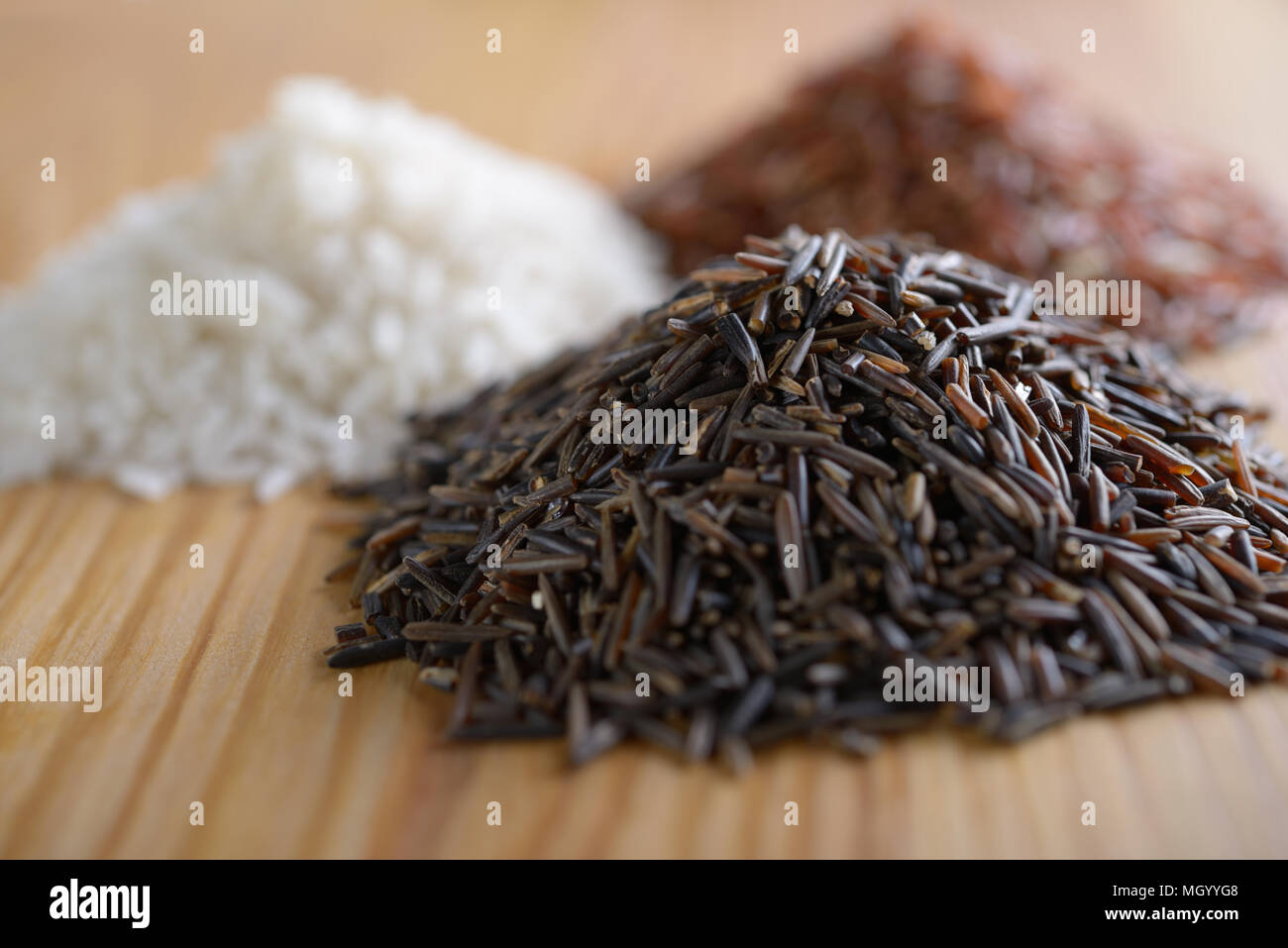 Three variety of rice: wild rice, red rice, and white rice. Shallow DOF ...