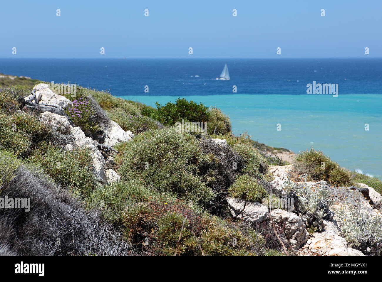 Coasline High Resolution Stock Photography and Images - Alamy