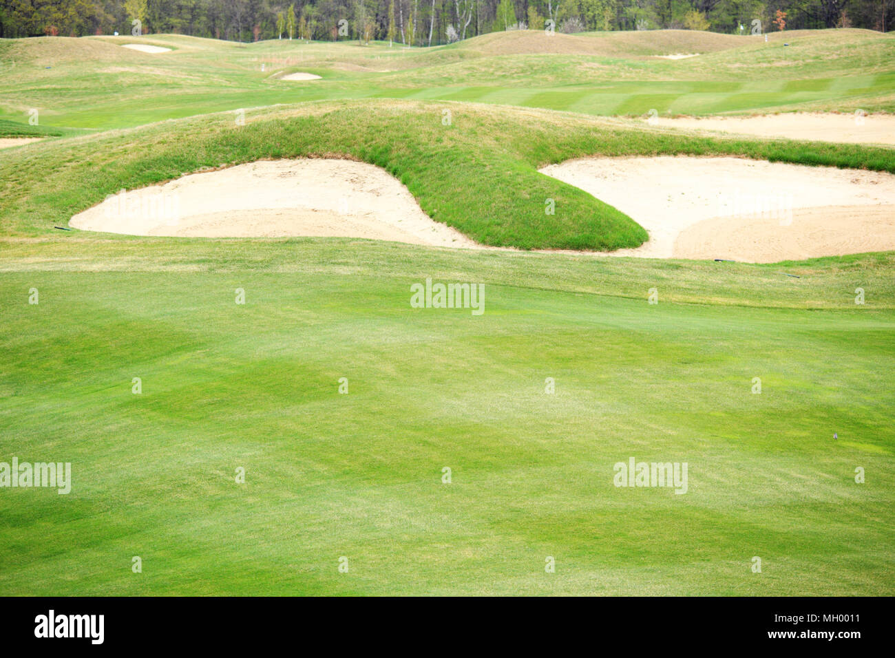 Golf course with sand traps Stock Photo - Alamy