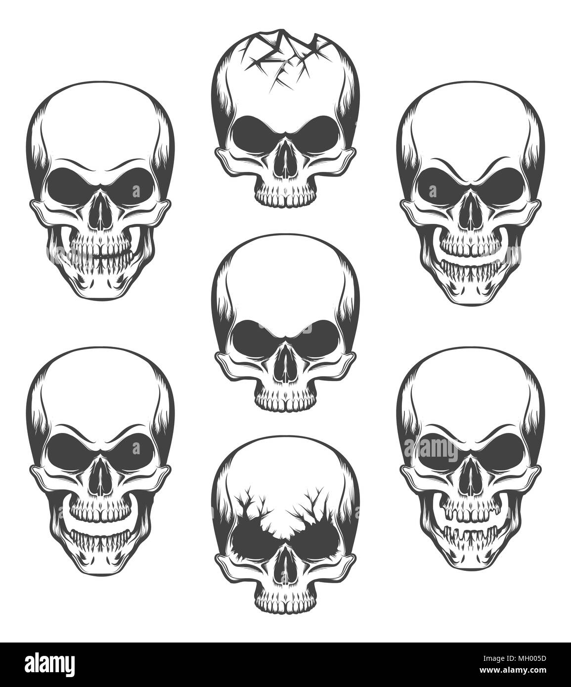 Anatomy vintage drawing vector hi-res stock photography and images - Alamy