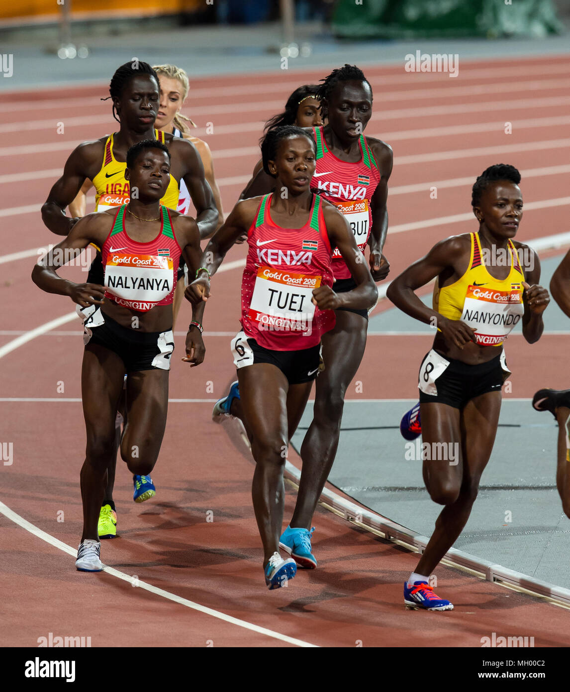 Women's 800m Final-Commonwealth Games 2018 Stock Photo - Alamy