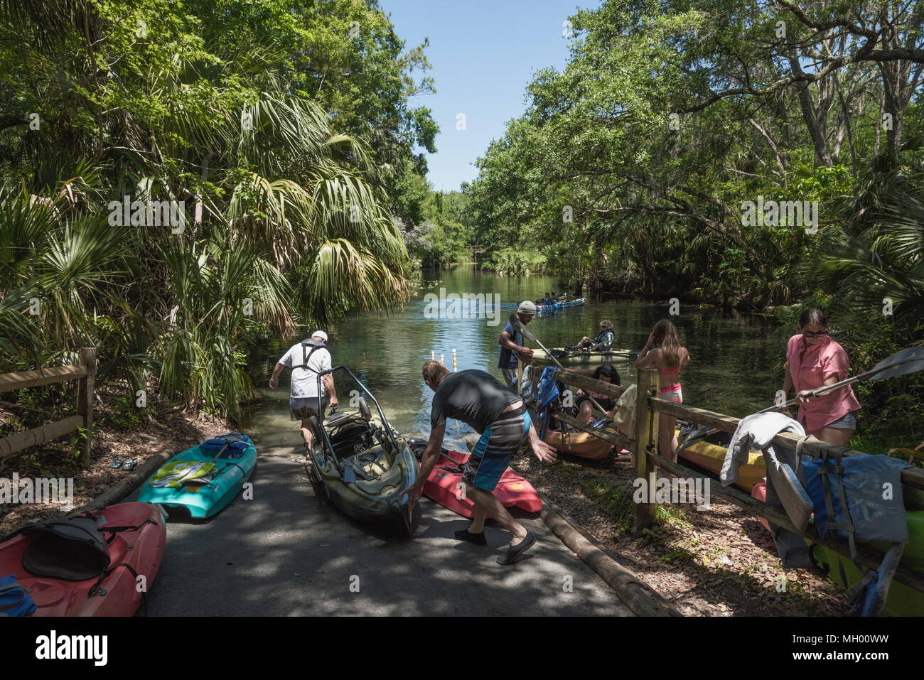 Kayaking the Silver Springs River in Ocala, Florida USA Stock Photo - Alamy