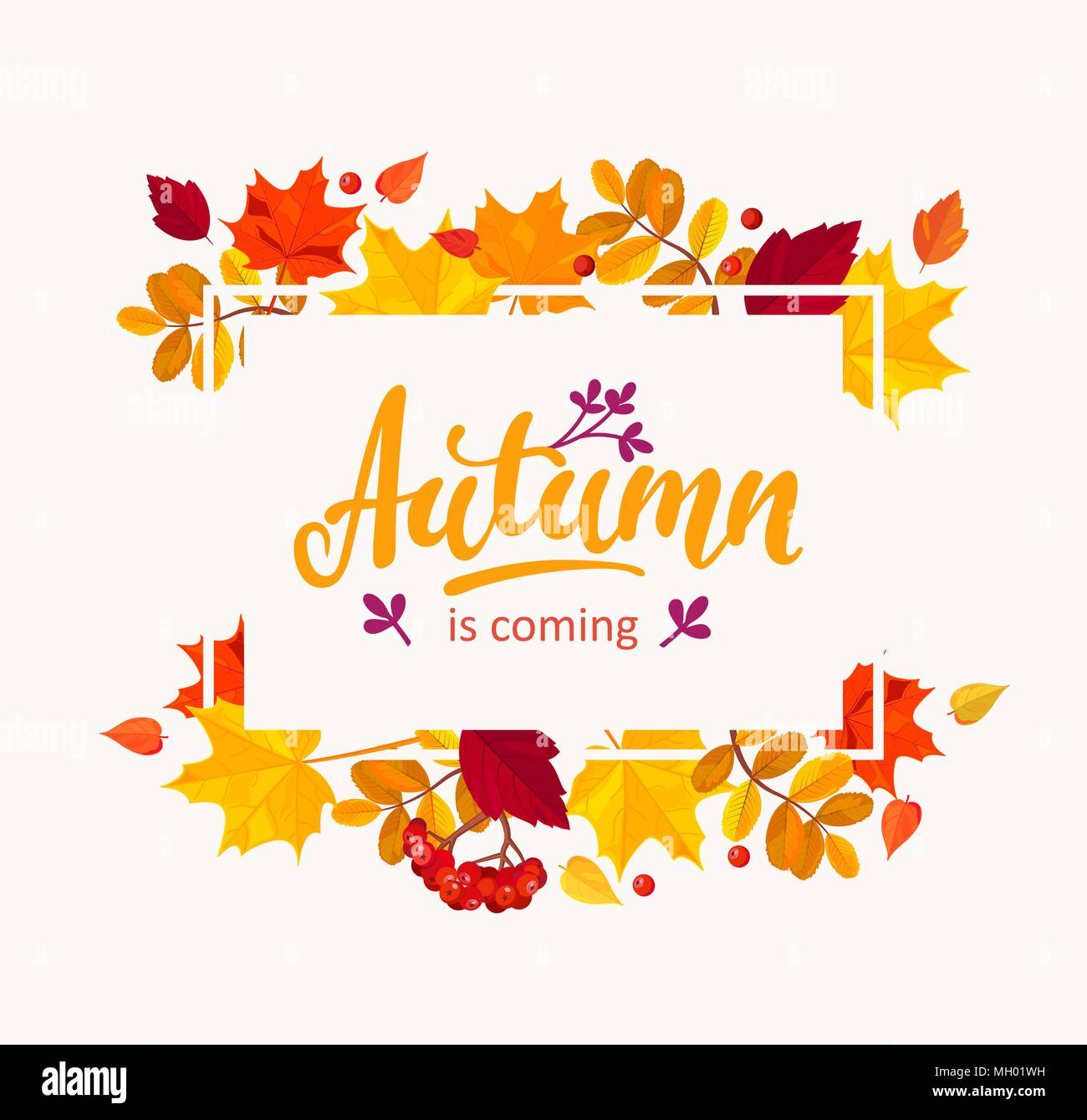 Autumn is coming banner with autumn leaves frame. Vector illustration ...