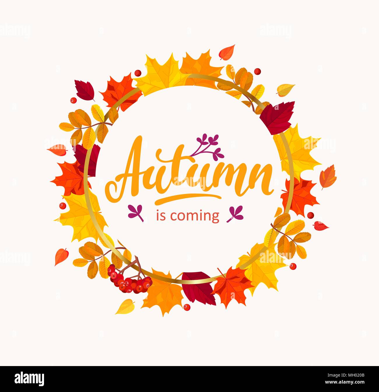 Autumn is coming banner with frame from autumn leaves. Vector ...