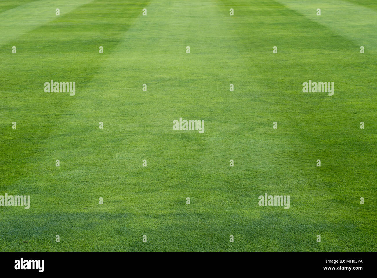 green grass on playing field background selective focus Stock Photo - Alamy