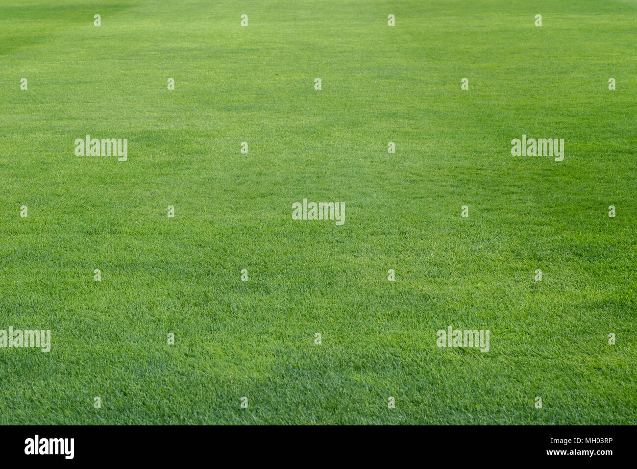 Football field texture hi-res stock photography and images - Alamy
