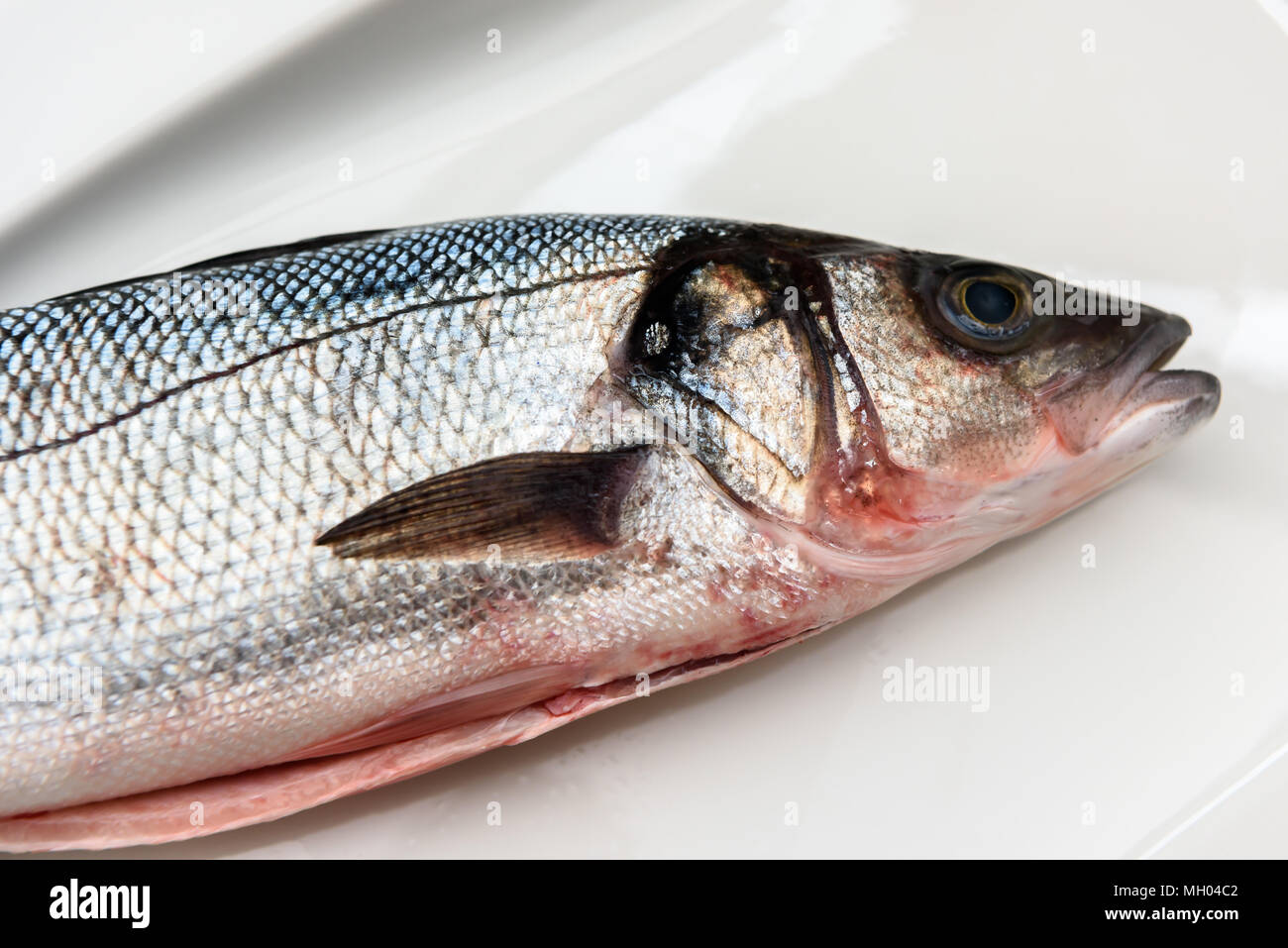 Fresh raw whole Sea Bass fish Stock Photo - Alamy