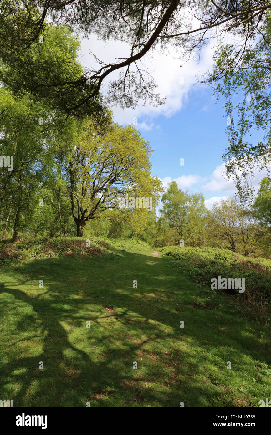 Chinthurst hill hi-res stock photography and images - Alamy