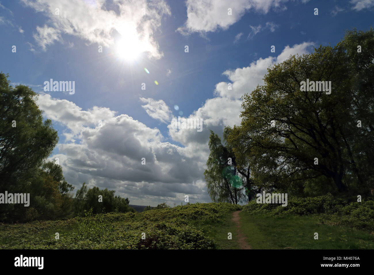 Chinthurst Hill, Bramley Surrey UK Stock Photo - Alamy