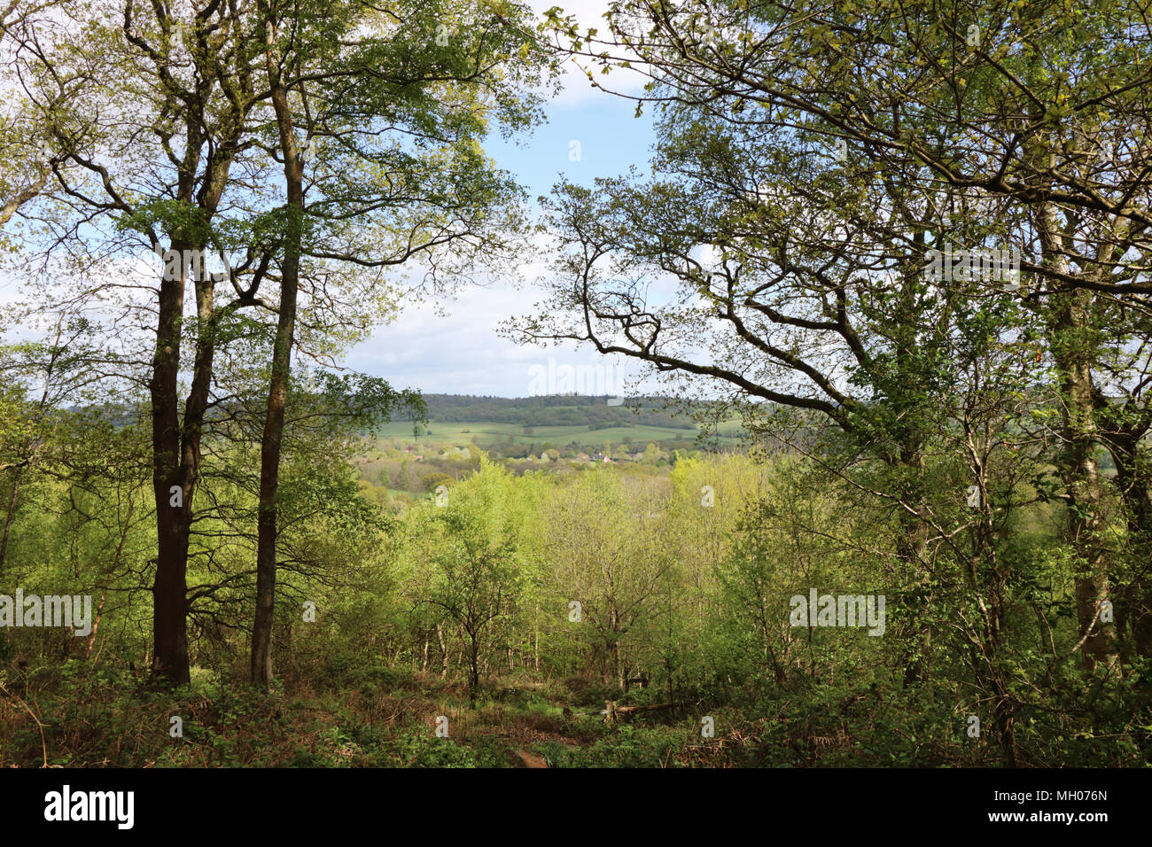 Bramley surrey hi-res stock photography and images - Alamy