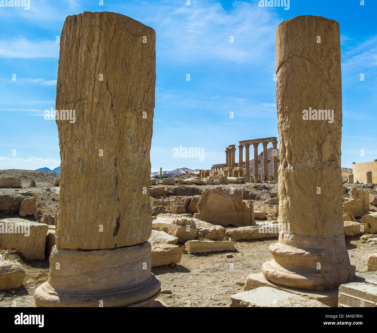 Columns of the Roman ruins of Palmyra, Syria Stock Photo - Alamy