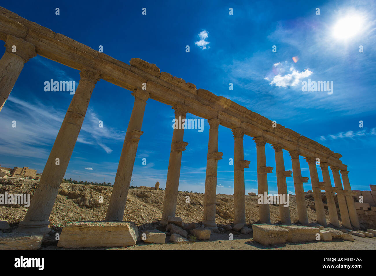 Columns of the Roman ruins of Palmyra, Syria Stock Photo - Alamy