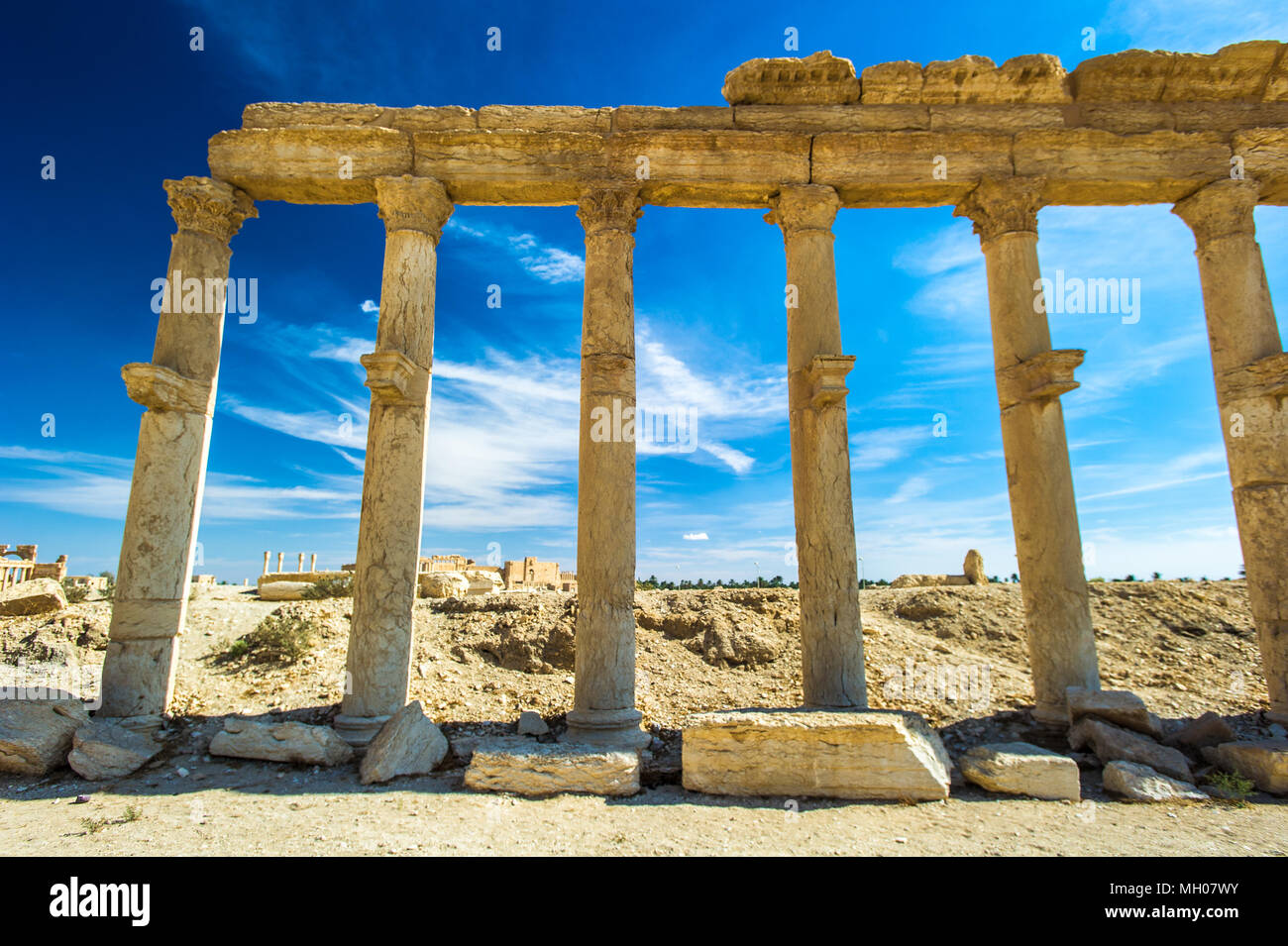 Columns of the Roman ruins of Palmyra, Syria Stock Photo - Alamy